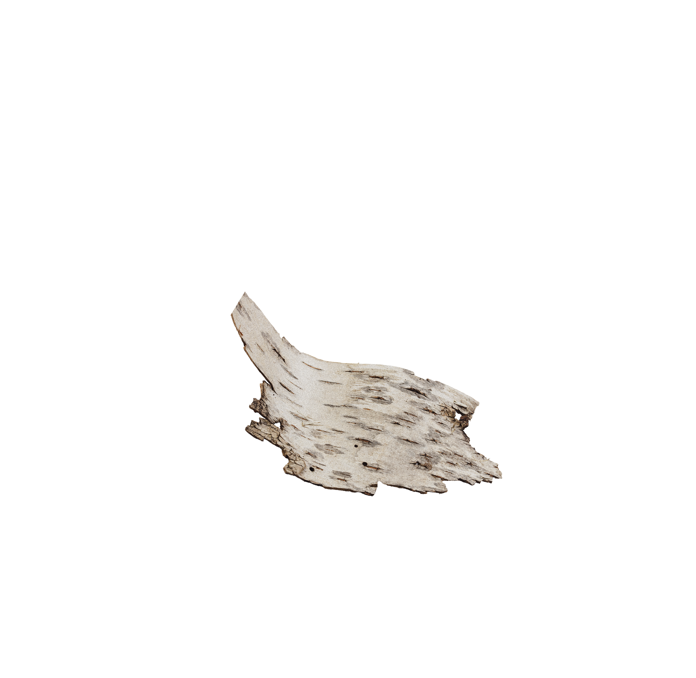 Birch House | Luxury Apartments | Jersey City NJ